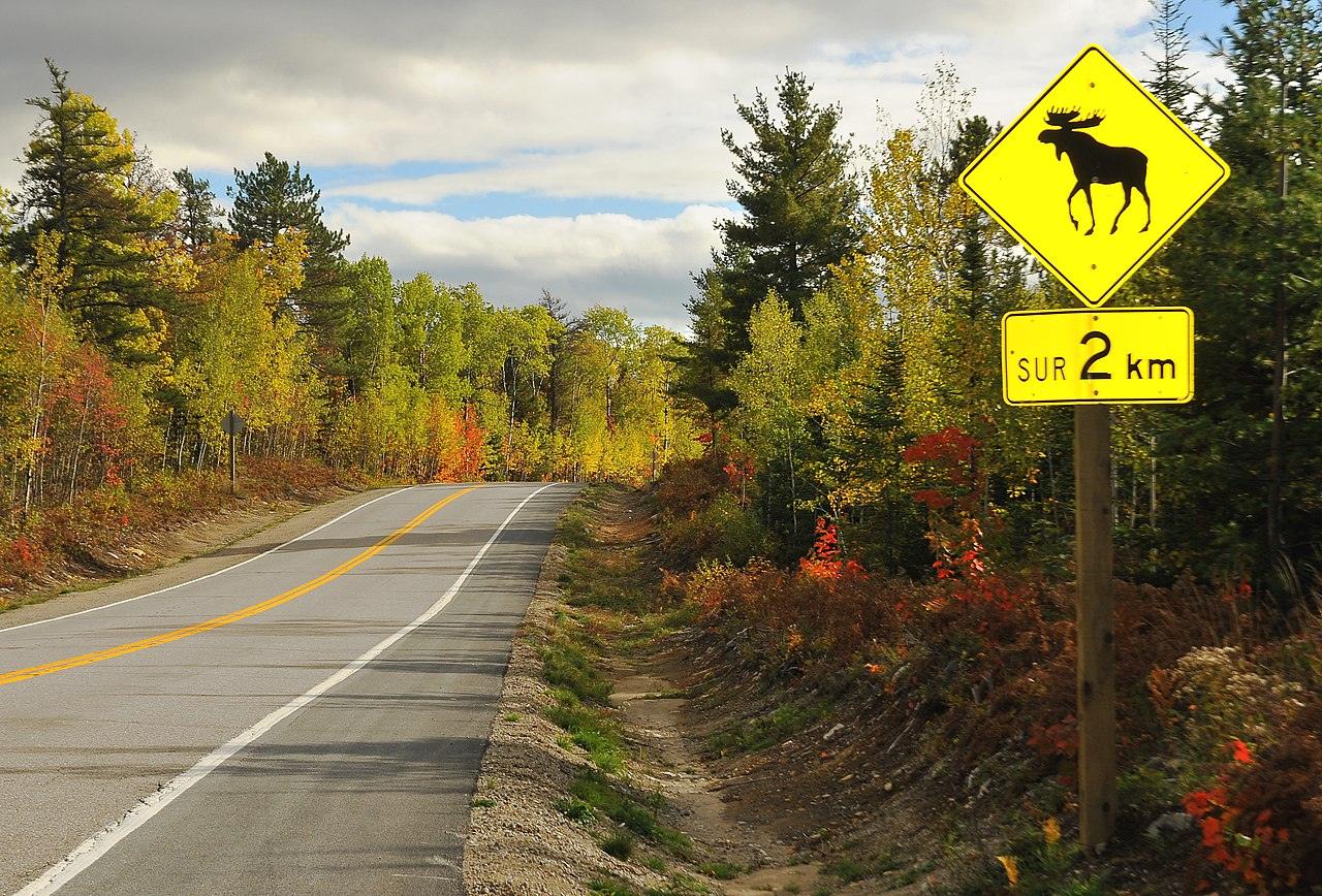 12 Underrated Canadian Road Trips (Skip the Trans-Canada Highway)