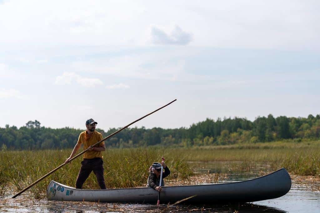 12 Wild Foods to Try in Canada