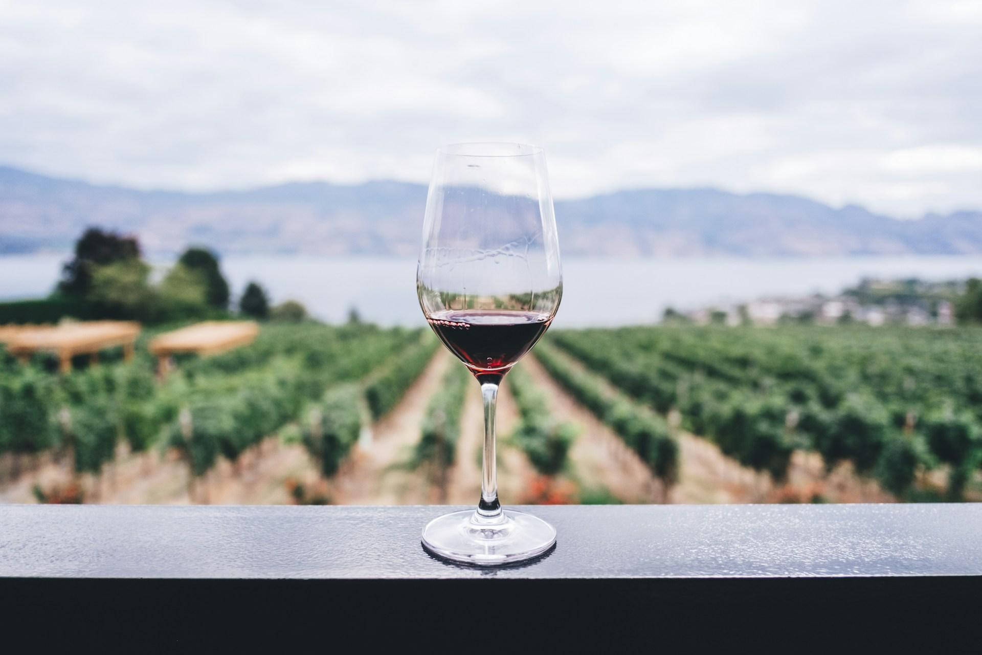 12 U.S. Wine Regions That Rival Napa Valley (Without the Crowds)