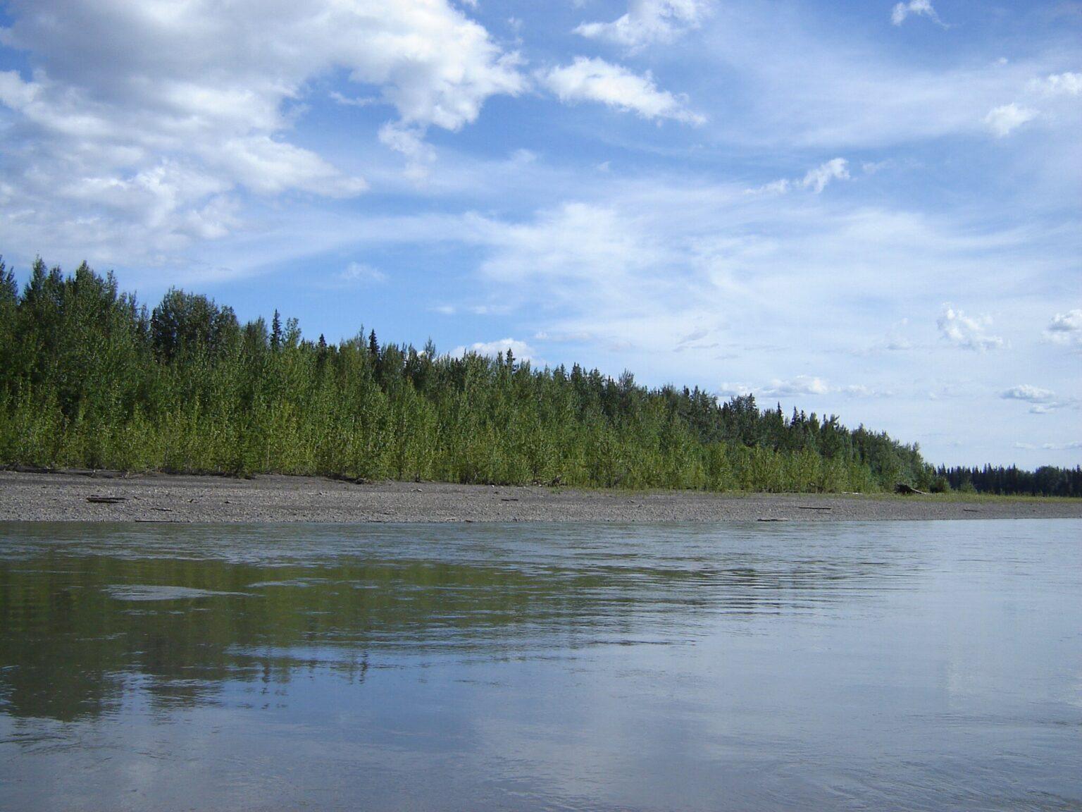 11 Places Where You Can Still Find Wild Wolves in Canada