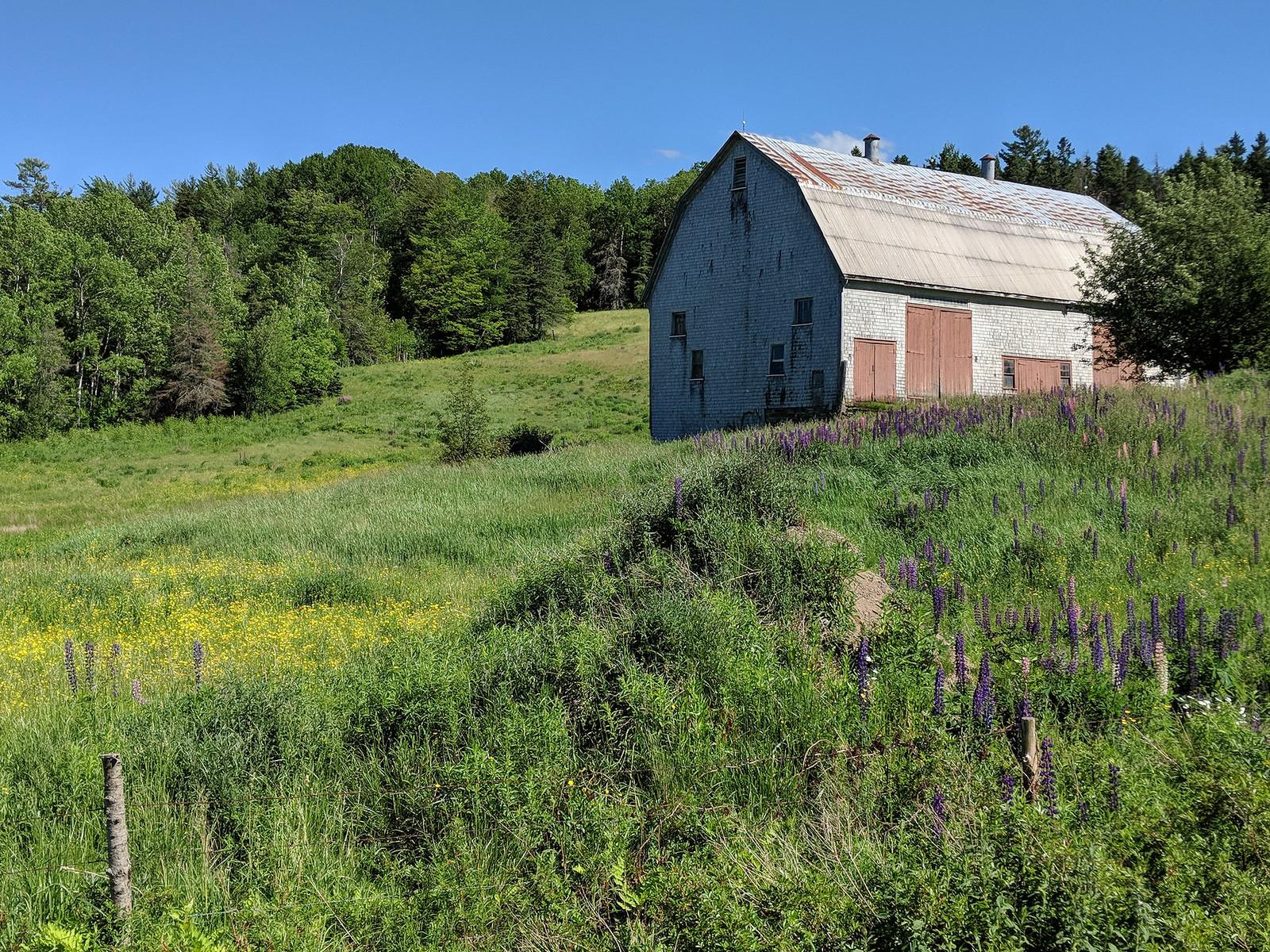 13 Canadian Wine Country Areas Where Retirees Thrive
