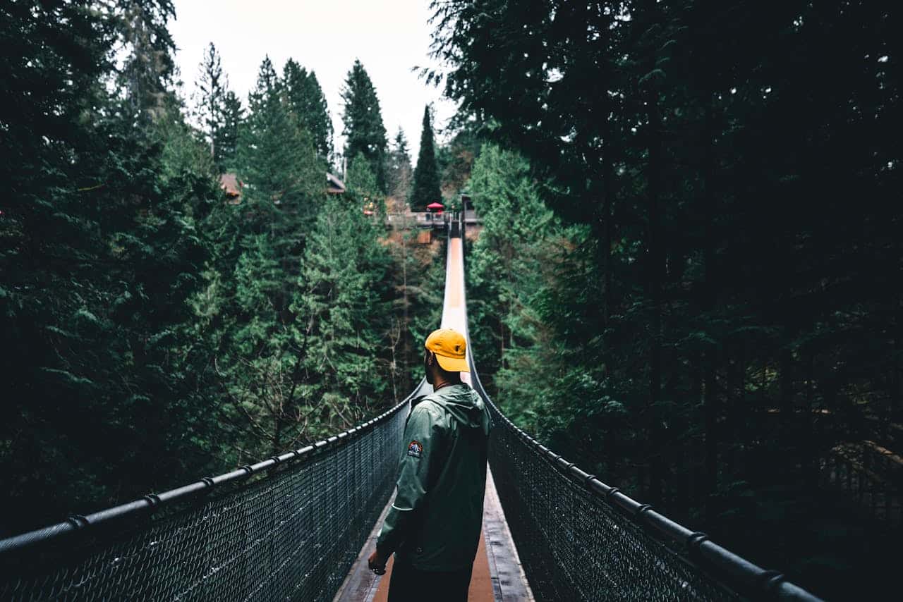 11 Canadian bridges you should stop and walk across