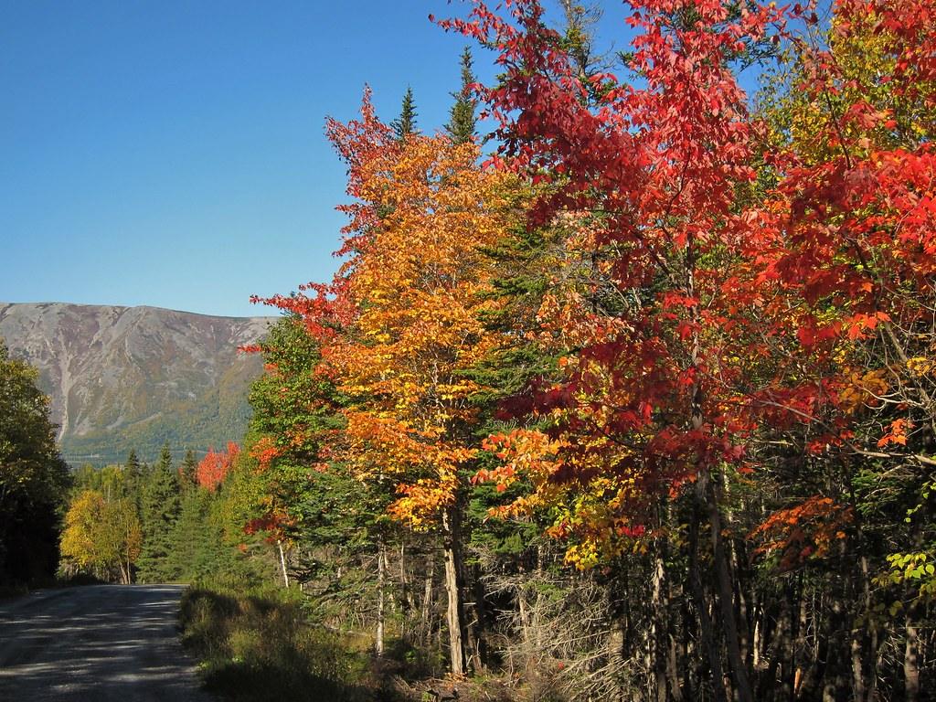 Where to go for the most spectacular fall colours in Canada