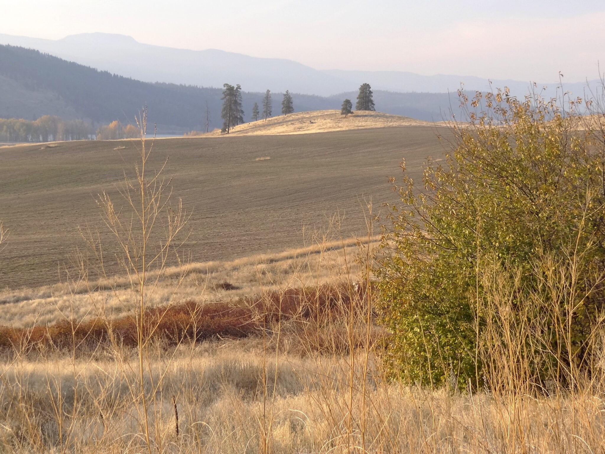 Where to go for the most spectacular fall colours in Canada