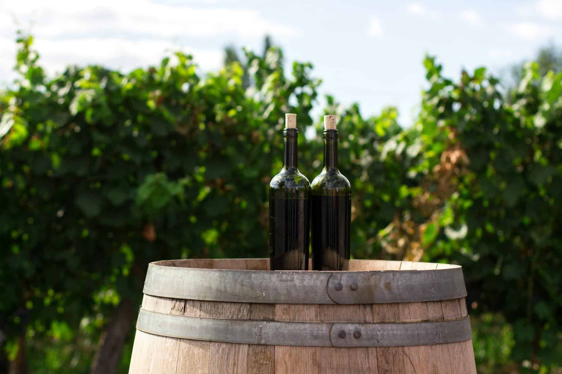 Canada's Best Wine Regions That Rival Napa and Tuscany