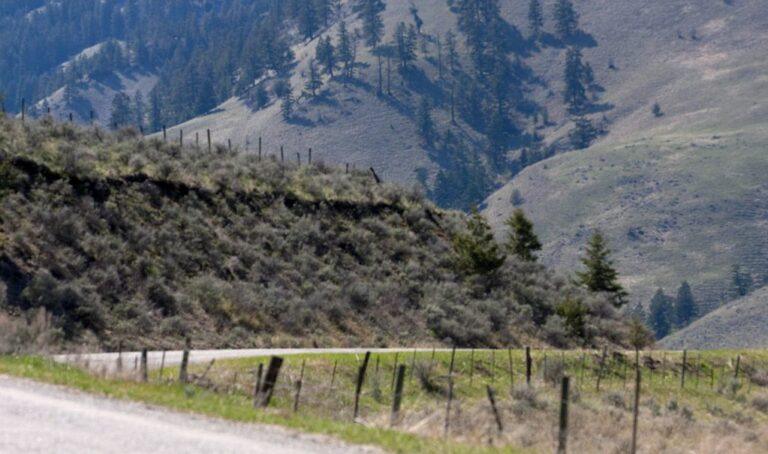 Canada's hidden deserts: 7 surprising arid zones from BC to Ontario