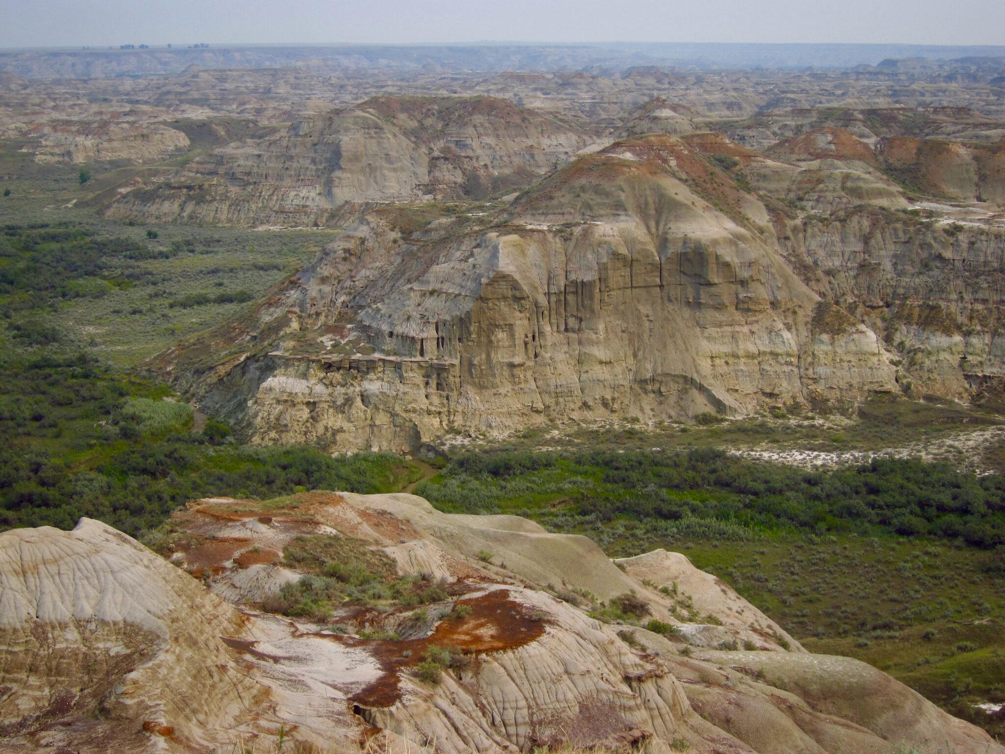 Canada's Top Dinosaur Museums and Fossil Discovery Sites