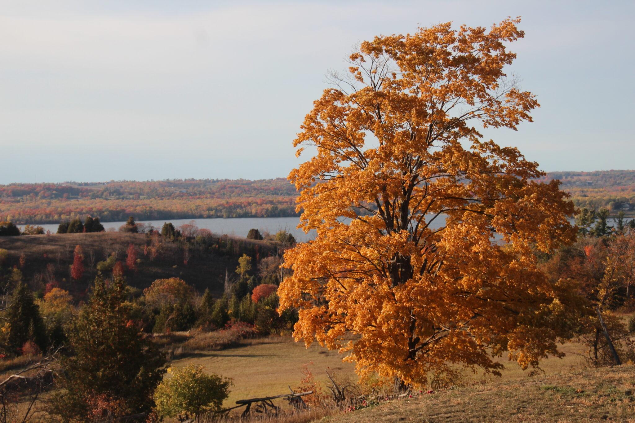 Canada's hidden deserts: 7 surprising arid zones from BC to Ontario
