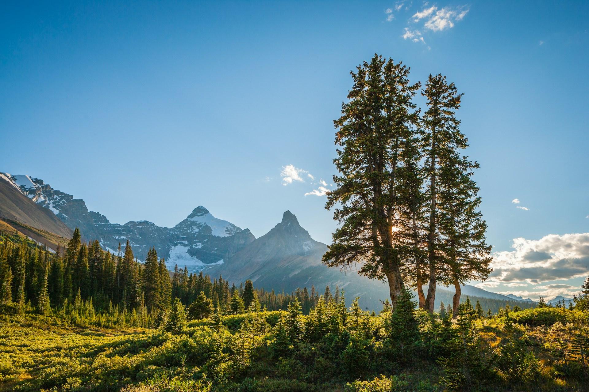 Canada's top 10 national parks, ranked by adventure seekers