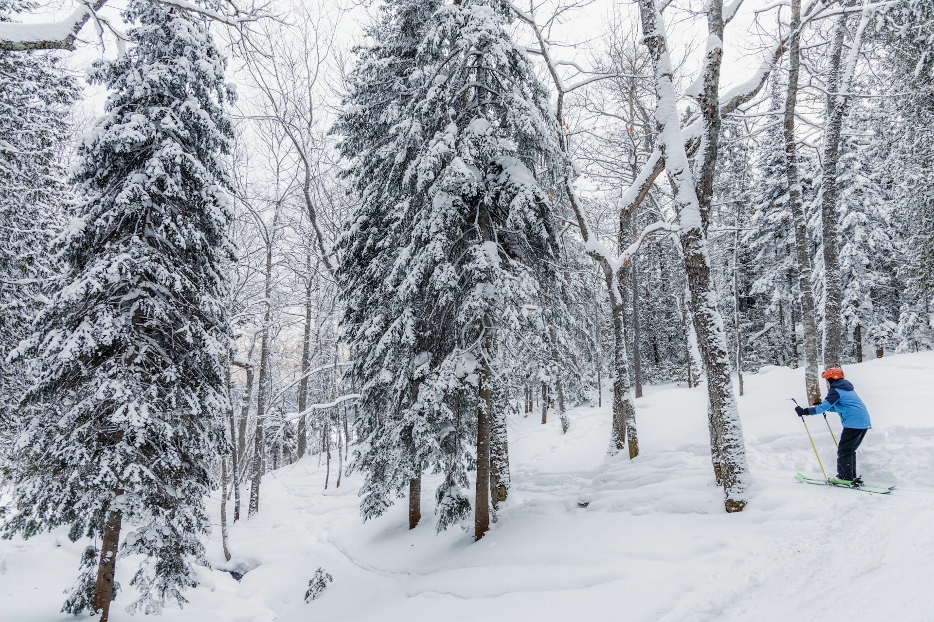 The best winter sports for staying active in Canada's cold months