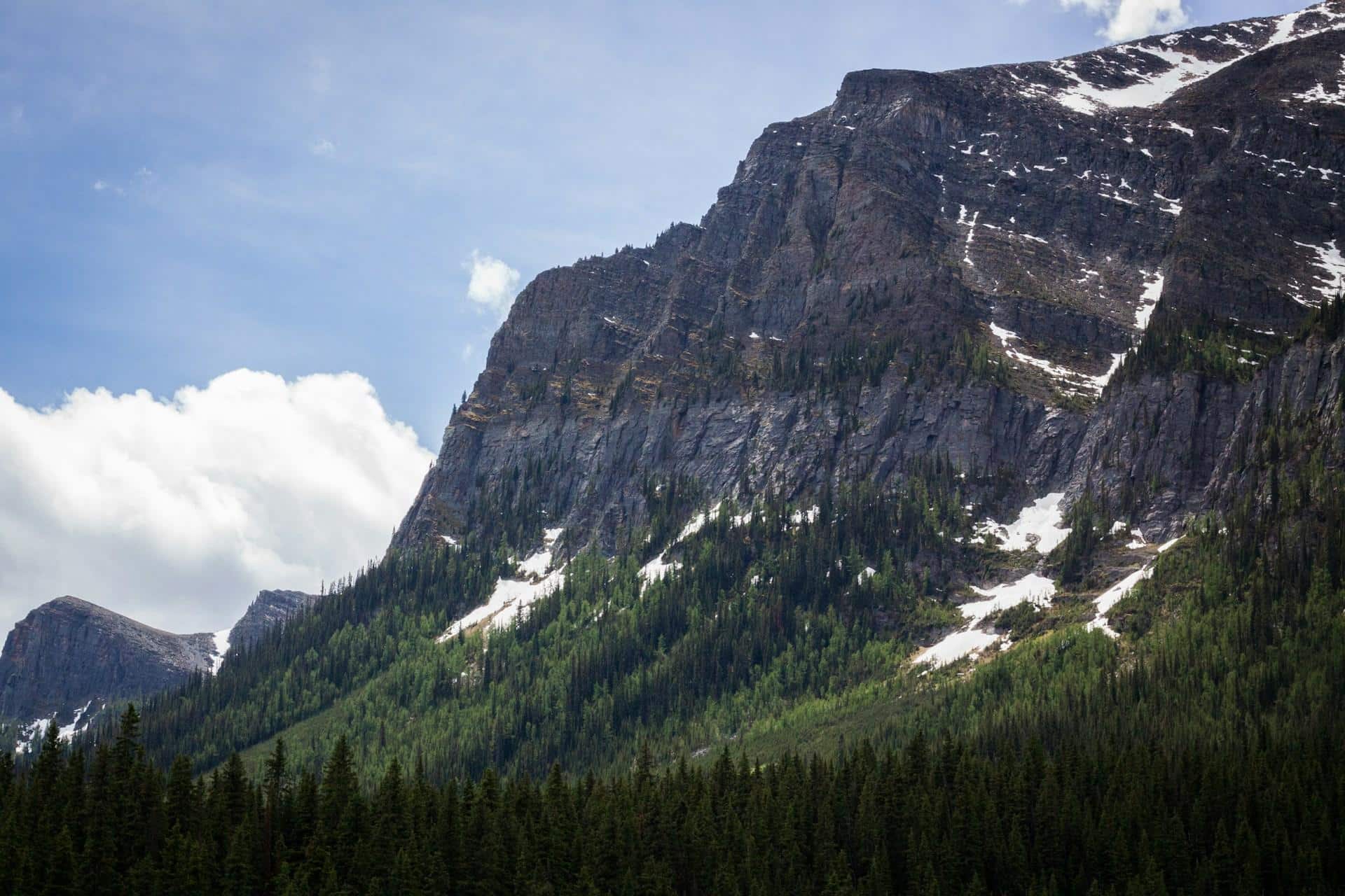 The end of the family road trip: a fading Canadian tradition